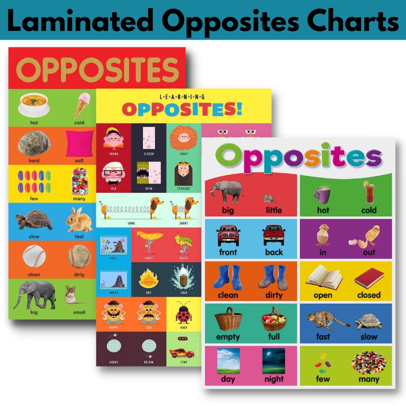 Laminated Opposites Charts, Laminated Opposites Posters for Kids ...