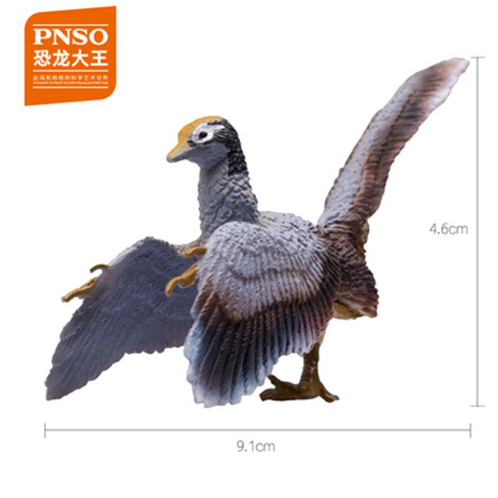 PNSO Tyrannosaurus Triceratops Mamenchisaurus Amargasaurus Ankylosaurus ...