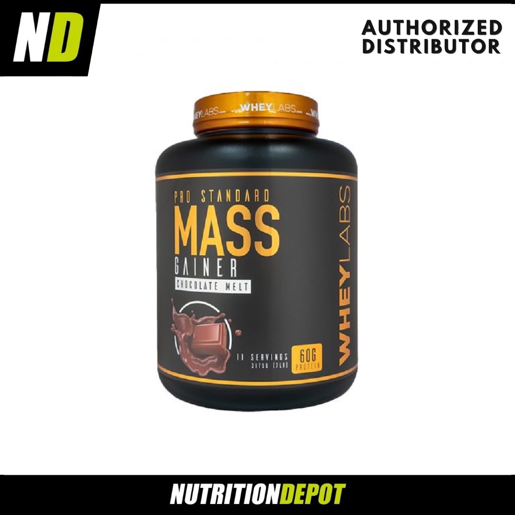 WheyLabs – Pro Standard Mass Gainer 7Lbs | Shopee Philippines