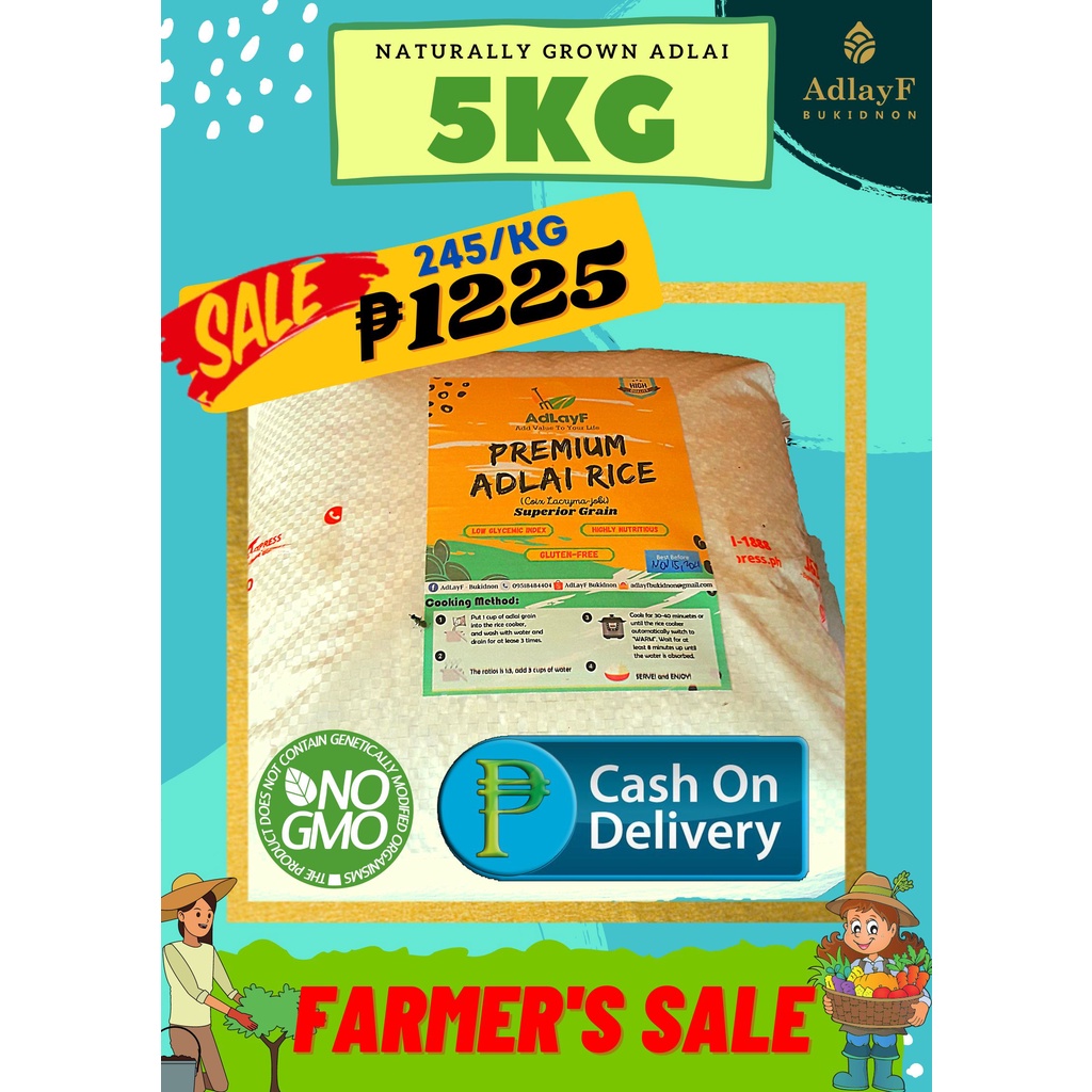 Premium Adlai Rice (Naturally Grown) | Shopee Philippines