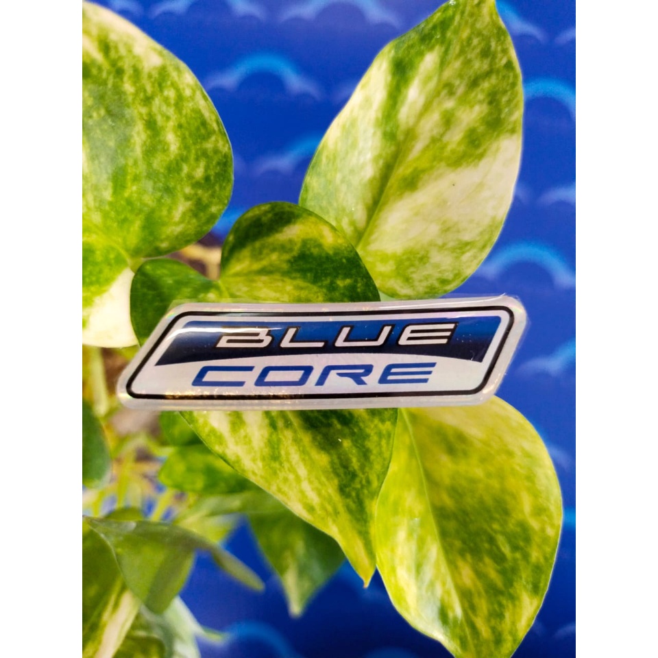 Sticker Blue Core (Epoxy & Timbul) | Shopee Philippines