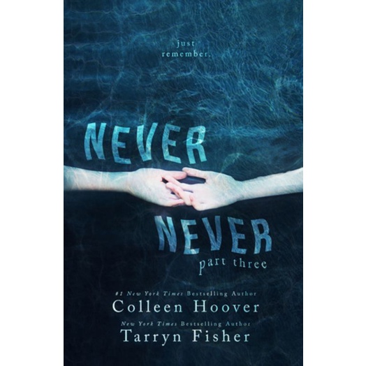 NEVER, NEVER ( Book 3 ) By: Colleen Hoover | Shopee Philippines