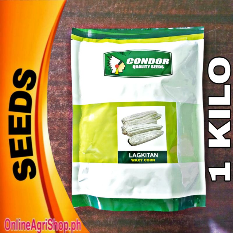 CONDOR SEEDS - WAXY CORN SEEDS - LAGKITAN CORN SEEDS - 1 KILO | Shopee ...