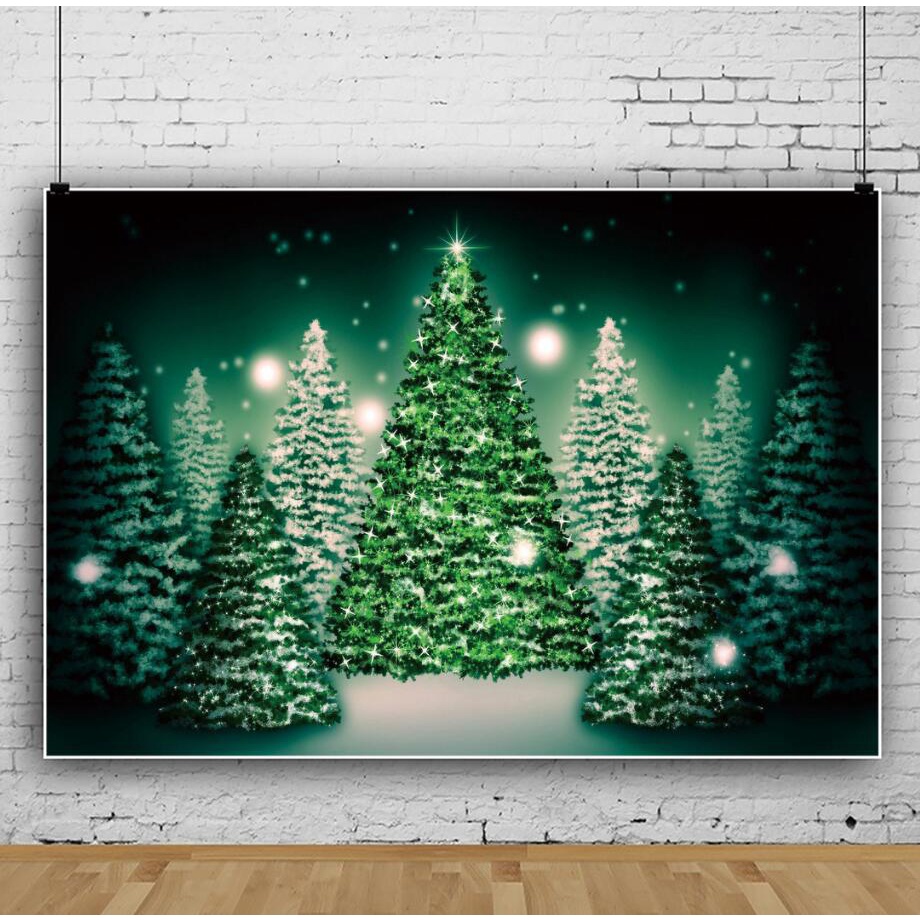 Christmas Outdoor Scene Background Christmas Party Decoration ...