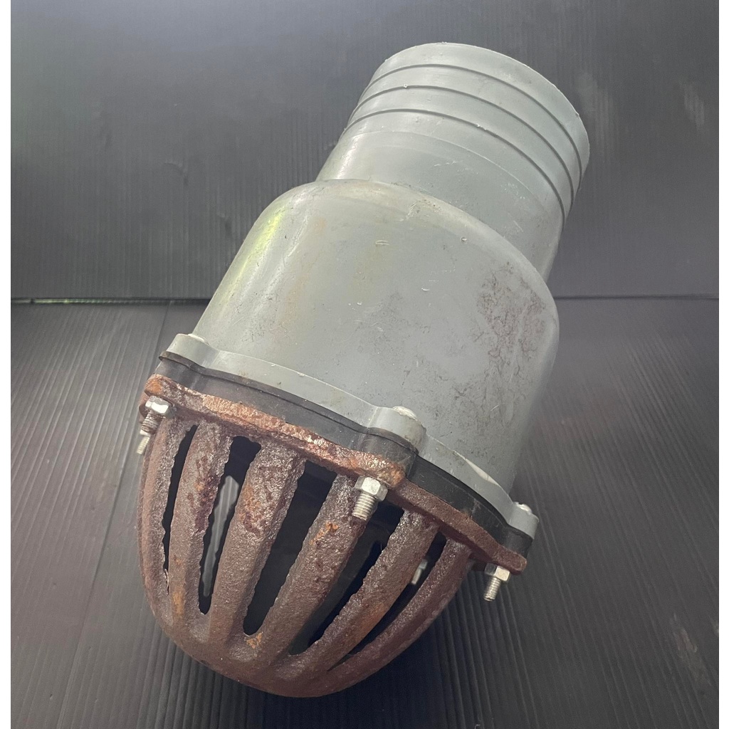 Foot Valve with Flapper 4 Inches COMBINATION CAST IRON HEAD with ...