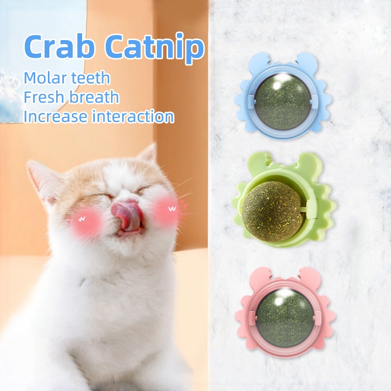 Catnip Cat Mint Ball Cat Snack Treats Toy Ball Shopee Philippines