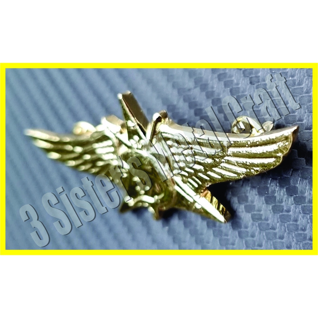 Philippine Navy Naval Special Operations Group Badge, Molder type ...