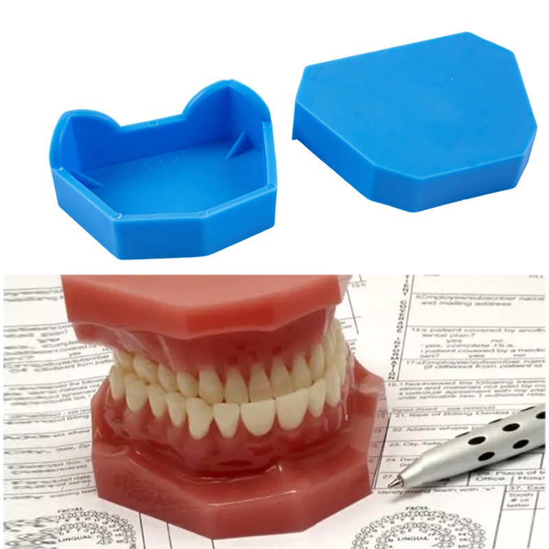 6 Pcs/Set 3 Sizes Dental Model Base Set Dental Mold Plaster Base ...