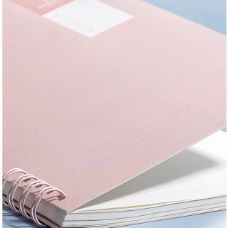A5&B5 Morandi Spring Notebook 60Sheets Office School Supplies ...