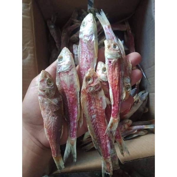 250 grams Salmonite / Redsal | Shopee Philippines