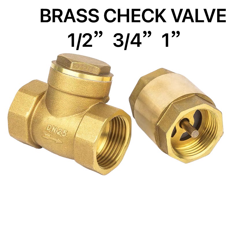 Brass Copper Swing valve ,check valve Thread Spring Vertical Pump ...