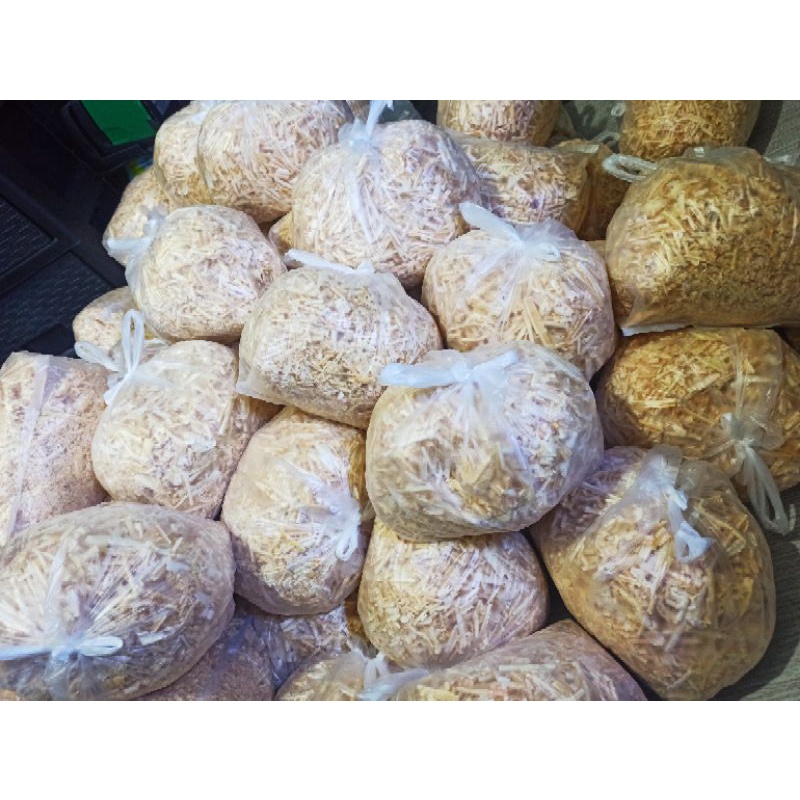 140g-200g KUSOT (Palochina) LUCKY for breeding, must try | Shopee ...