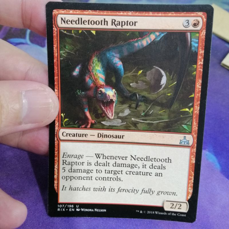 1 Needletooth raptor RIX rivals of ixalan MTG card magic commander ...