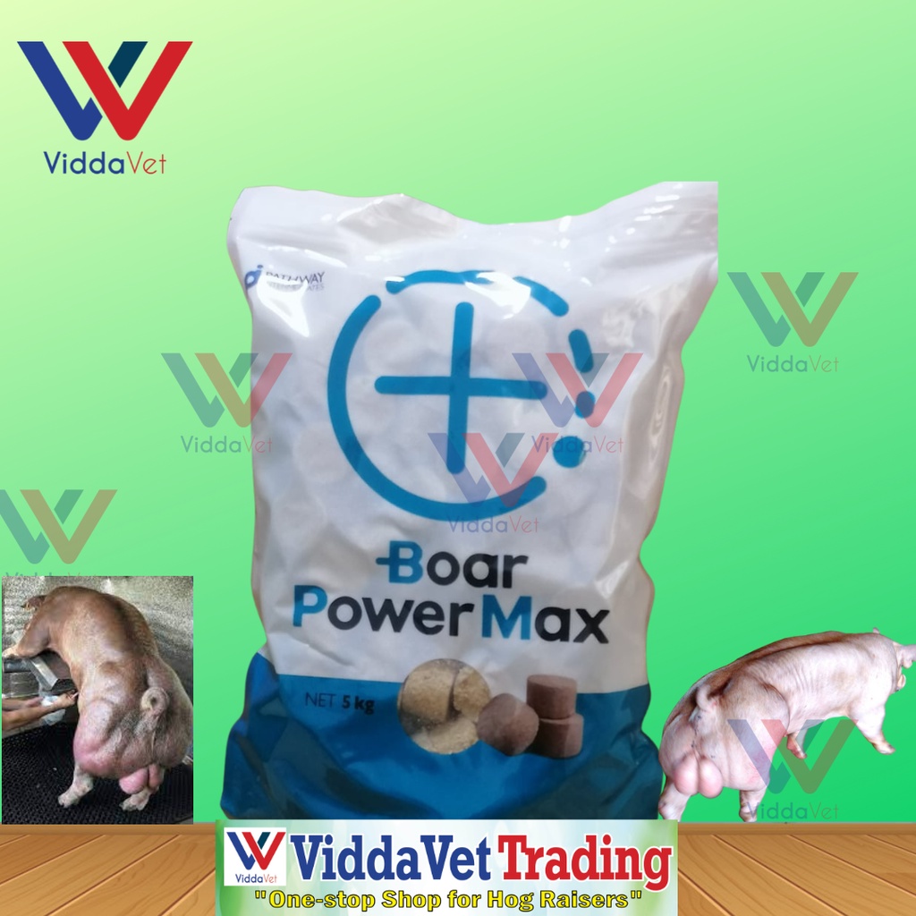 5kgs boar power max boar supplements | Shopee Philippines
