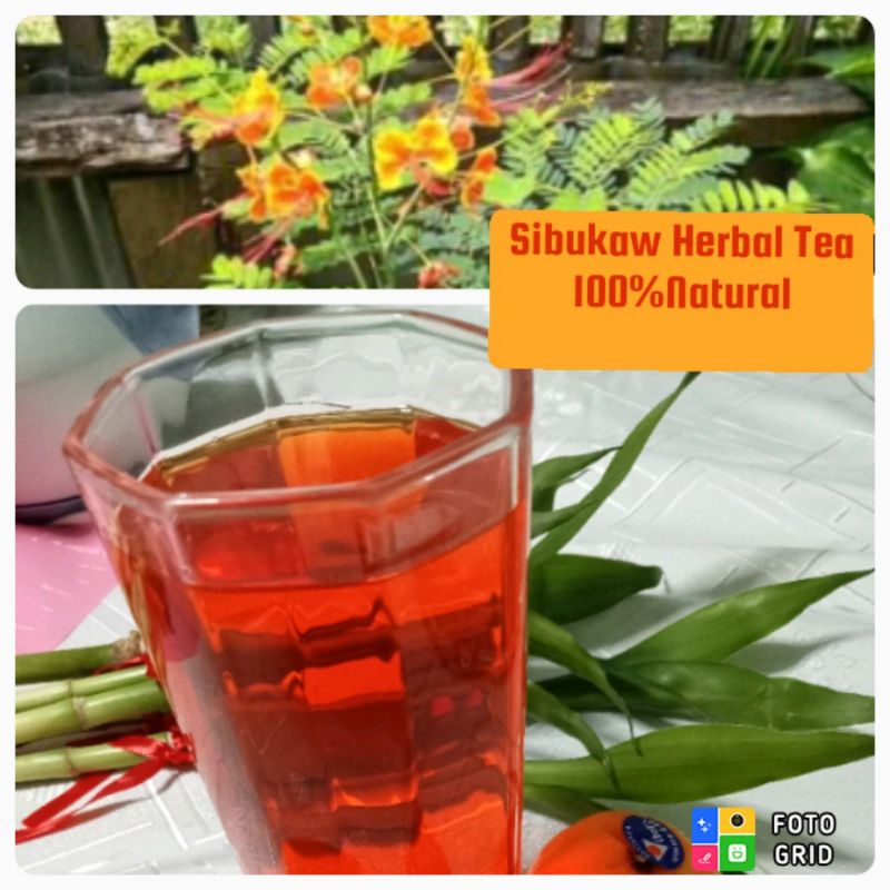 Sibukaw Herbal Tea - Miracle Woods | Shopee Philippines
