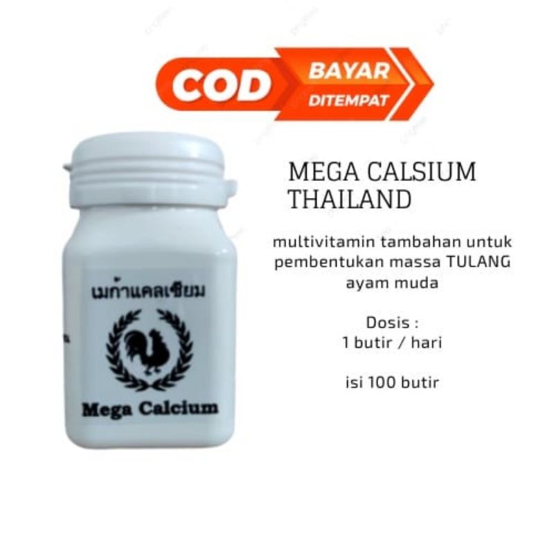 Mega bone Calcium Calcium thai - 10 times strengthens the bones of ...