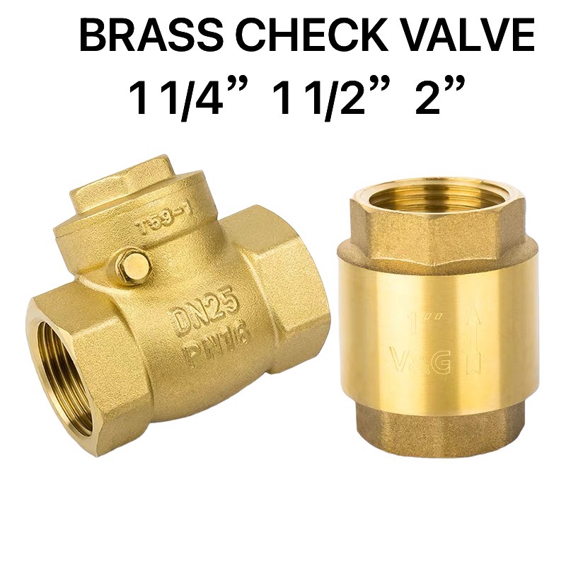 Brass Copper Swing valve ,check valve Thread Spring Vertical Pump ...