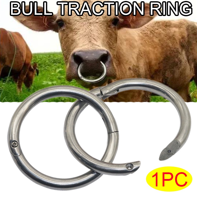 1Pc Bull Nose Ring Cattle Traction Ring Stainless Steel Bull Cow ...