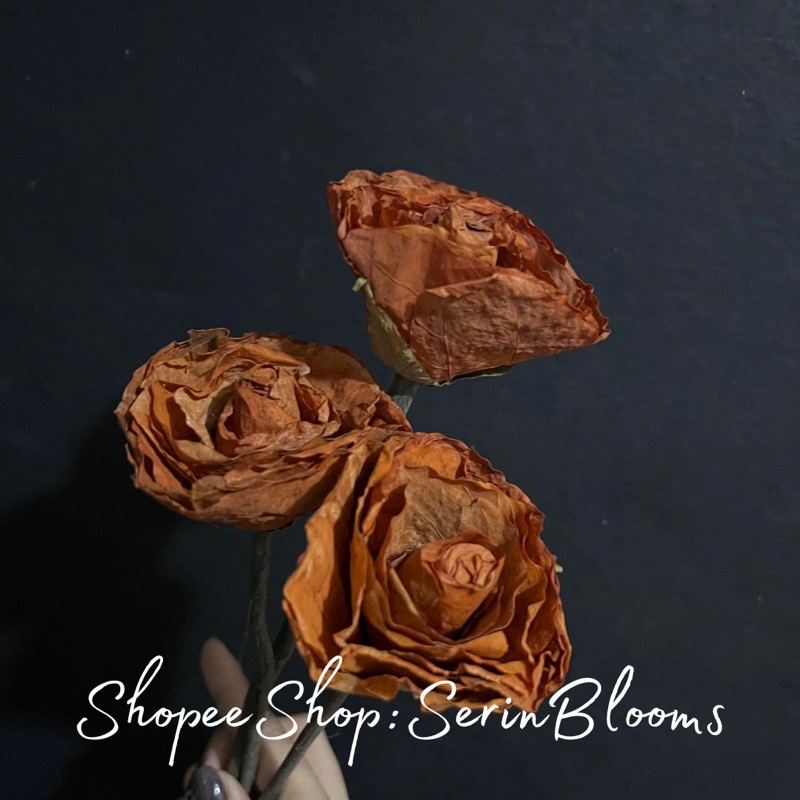 Fossilized Rose (Petite)sold per piece 4-5cm | Shopee Philippines