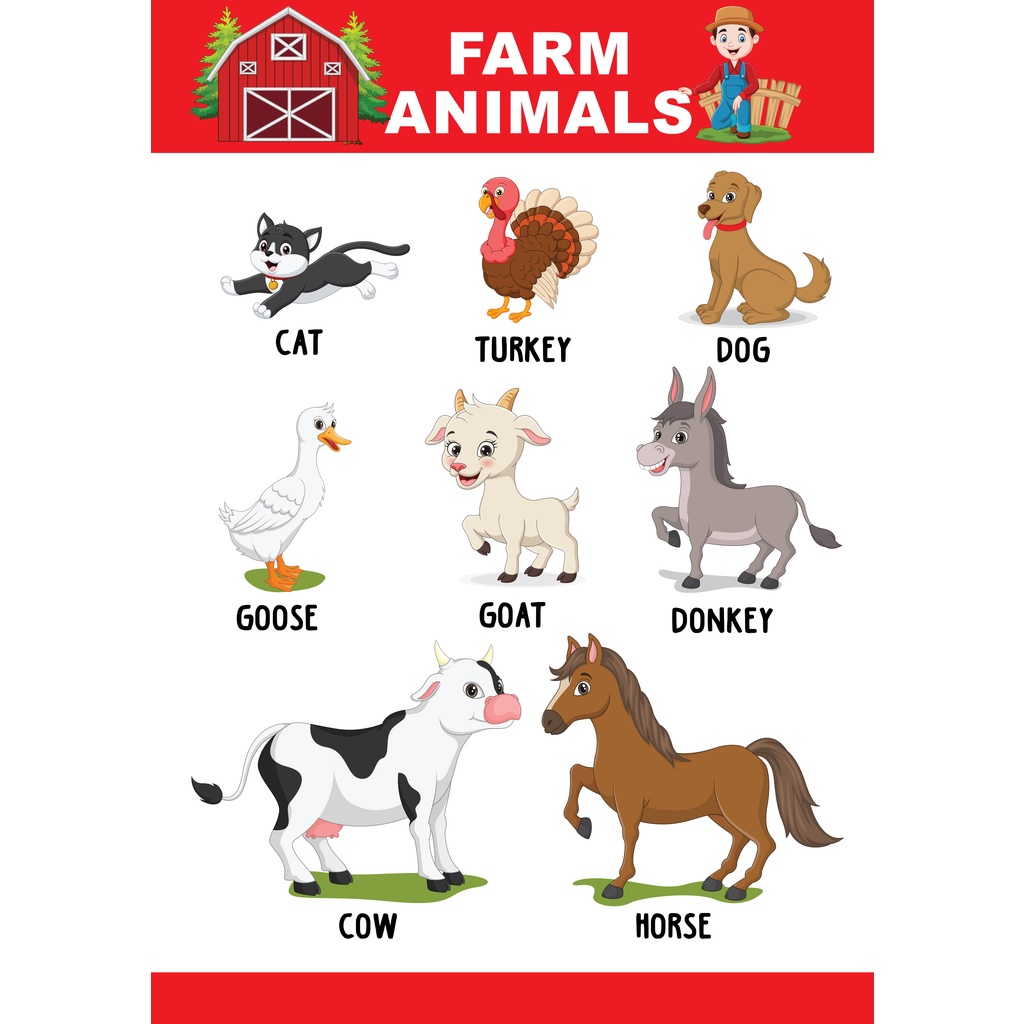Farm Animals Educational Chart for Children - A4 Laminated Glossy ...