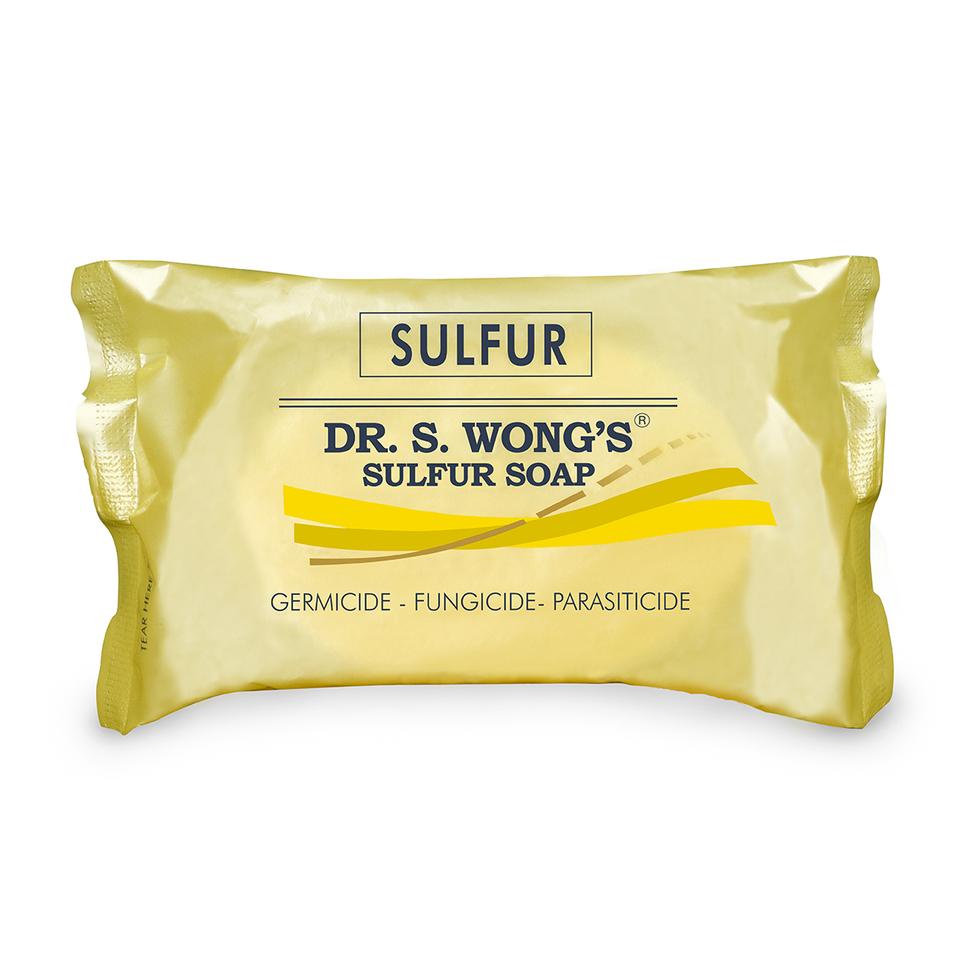 Dr. S. Wong's Sulfur Soap 80g | Shopee Philippines