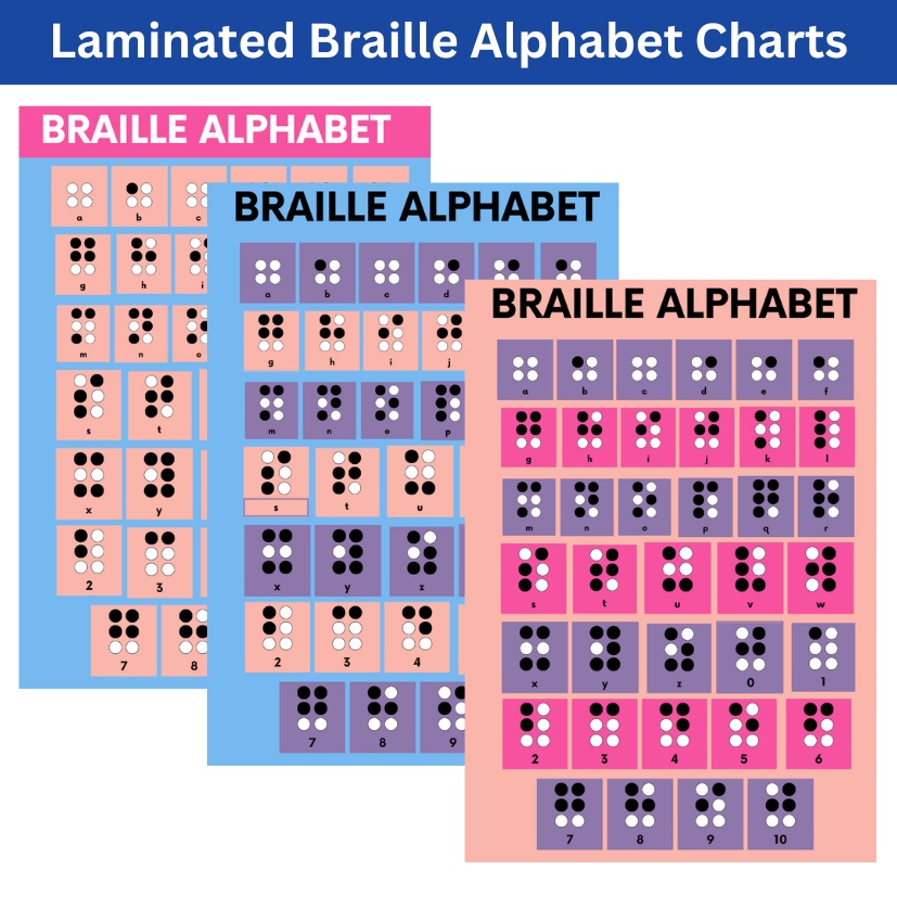 Laminated Braille Charts for Kids, Learners and Educators, Educational ...
