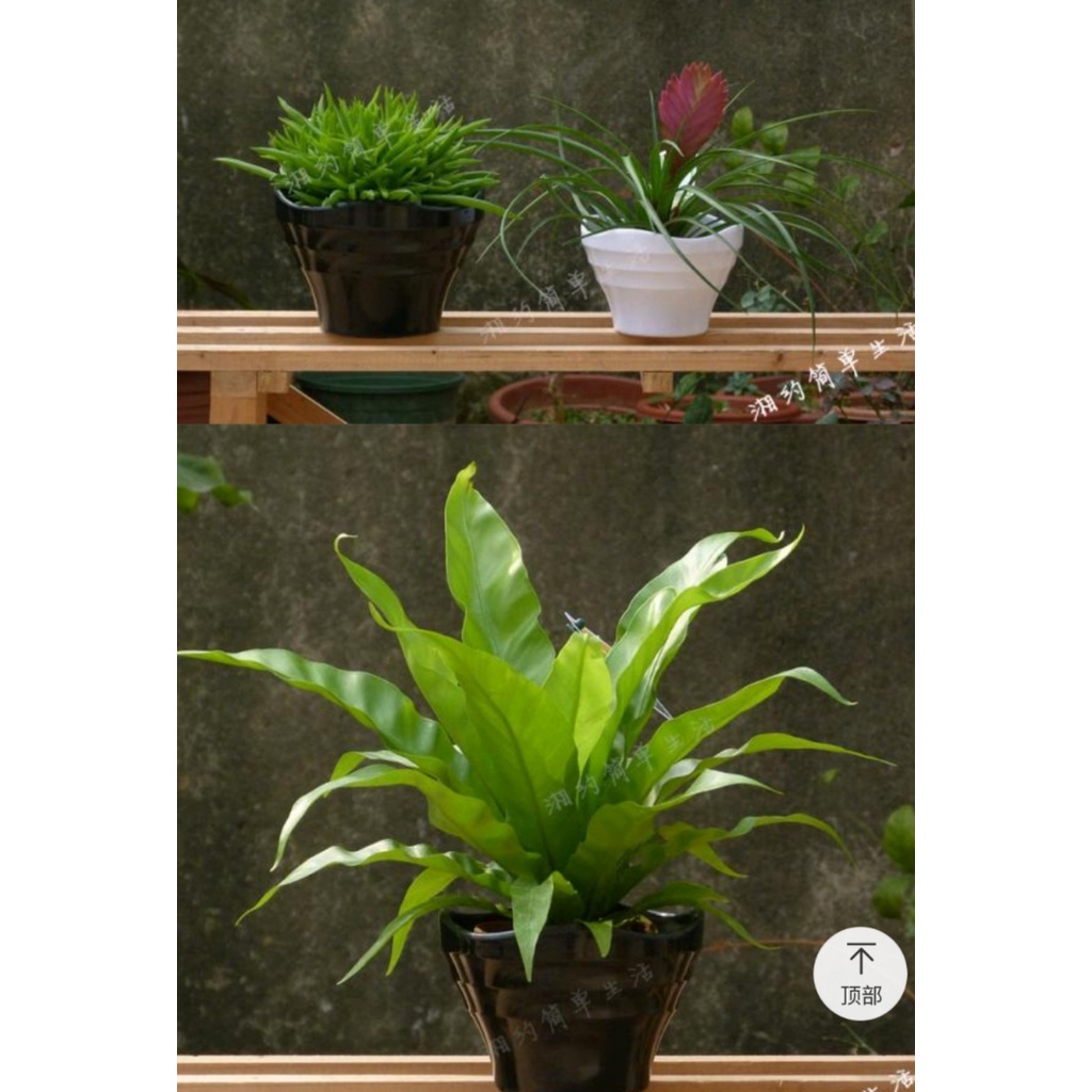 Clearance price special-shaped bowl imitation porcelain flower pot ...