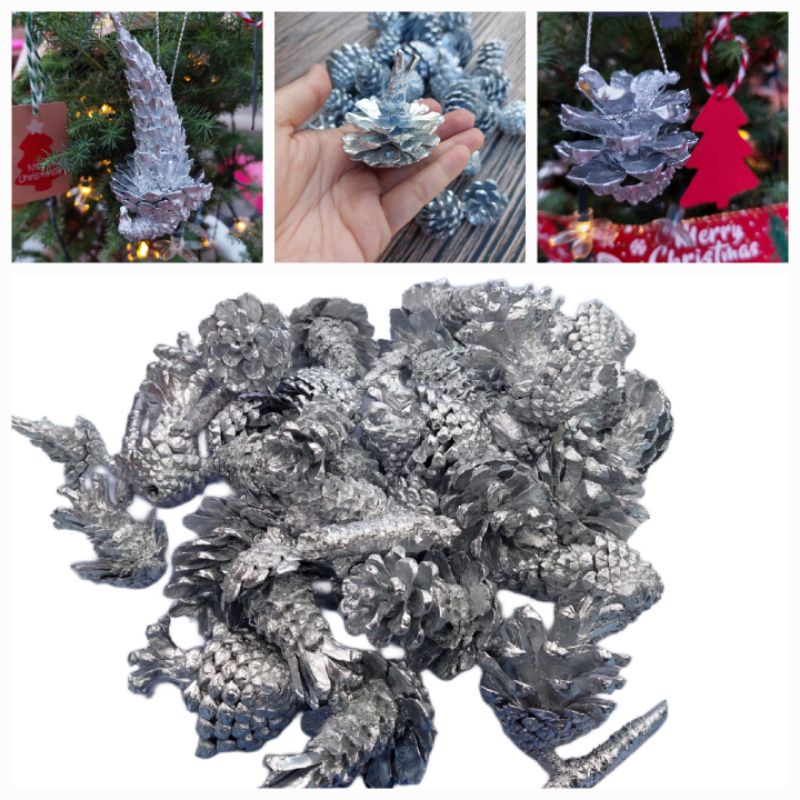 Christmas Imperfect Rustic Pine Cones (Silver Painted) | Shopee Philippines