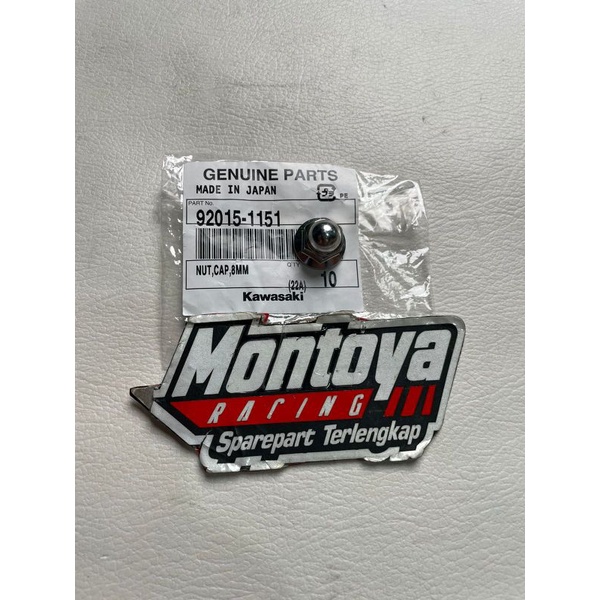 Nut Head Ninja 150 RR | Shopee Philippines