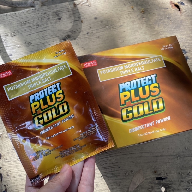 Protect Plus Gold 20g sachet (Pet Space Disinfectant) | Shopee Philippines