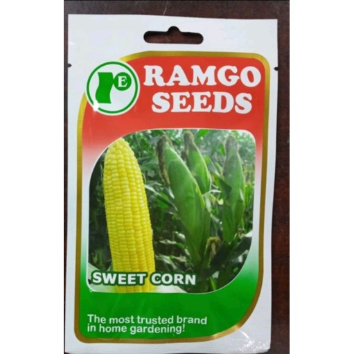 SWEET FORTUNE HYBRID JAPANESE SWEET CORN SEEDS12.5 GRAMS (RAMGO SEEDS ...