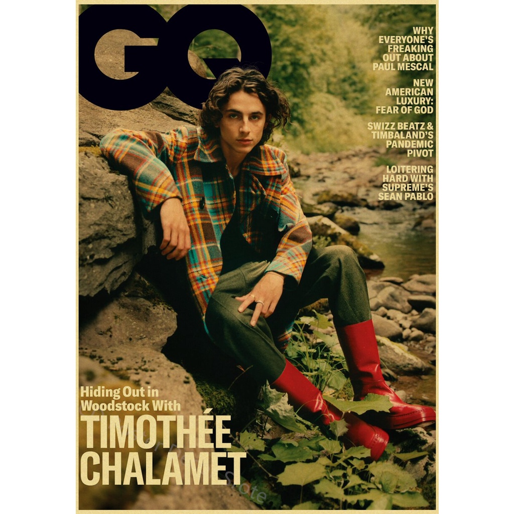 Timothee Chalamet Retro Poster Kraft Paper Prints and Posters Home Room ...