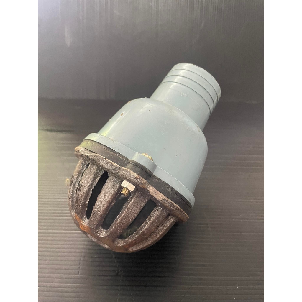 Foot Valve with Flapper 2 Inches COMBINATION CAST IRON HEAD with ...