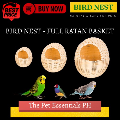 Bird nest - full ratan basket bird egg shelter nesting finches society ...