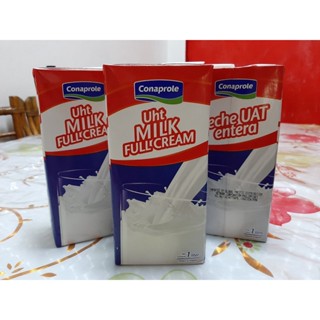 CONAPROLE UHT FULL CREAM MILK 1 LITER | Shopee Philippines