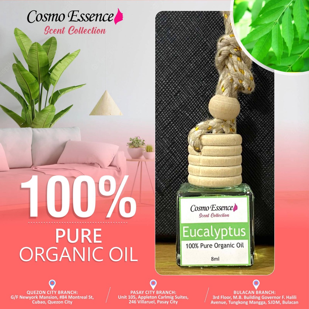 EUCALYPTUS Hanging Car Diffuser Scent Oil Diffuser Aromatic Scent ...