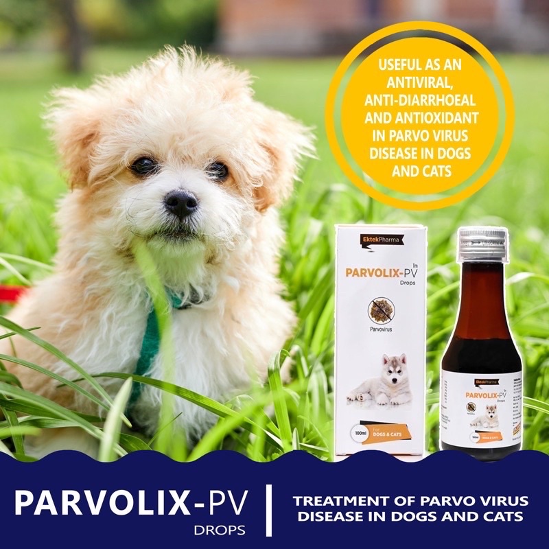 Parvolix Pv For Treatment Of Parvo Virus In Dogs And Cats | Shopee ...