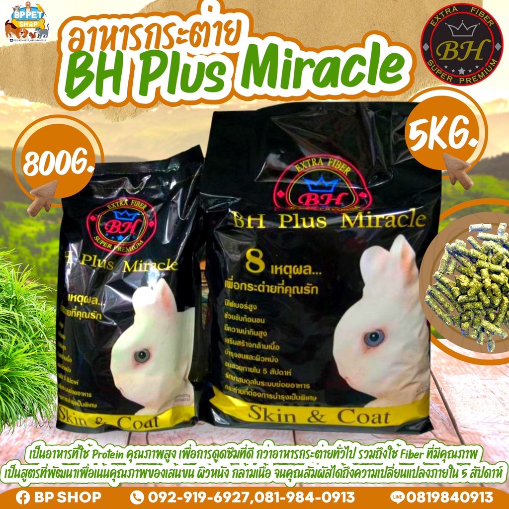 Rabbit Food Feed BH BH Plus Plus 5 KG. | Shopee Philippines