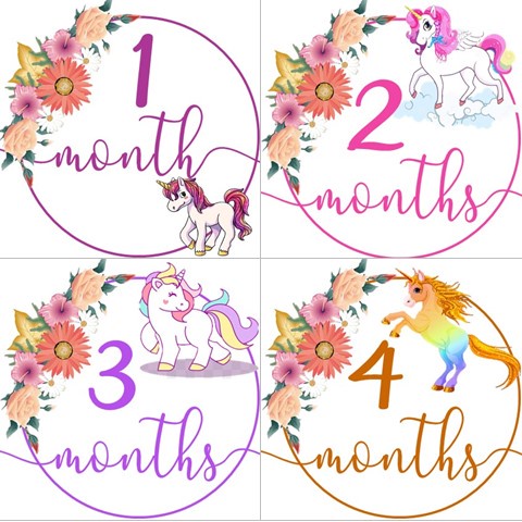 Unicorn 12 Months Baby Milestone Sticker | Shopee Philippines