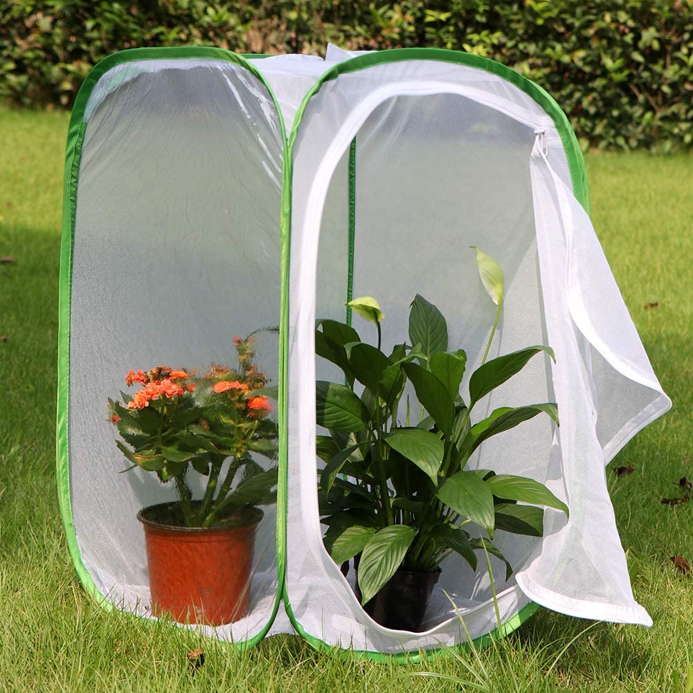 Large Monarch Butterfly Habitat Collapsible Pop-up Insect Mesh Cage ...