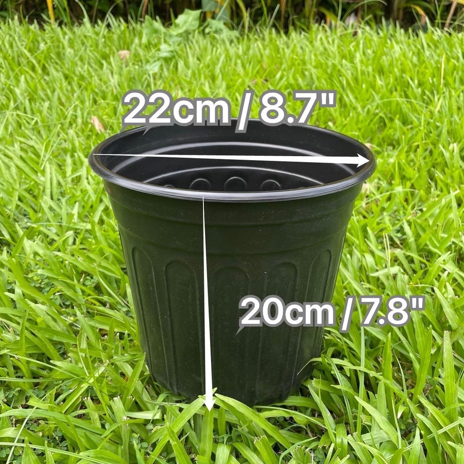 FAMILIFE 1-Dozen/12pcs (16cm-29cm) Long Thick Black PVC Pots/Durable and Lightweight Black Soft ...