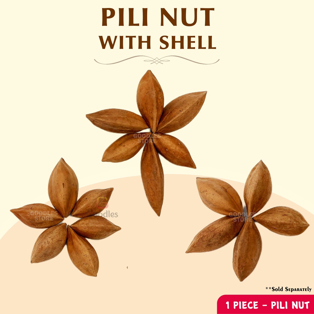 Sold Per PC Raw Pili Nuts with Shell Good Quality Bicol Pilinuts with ...