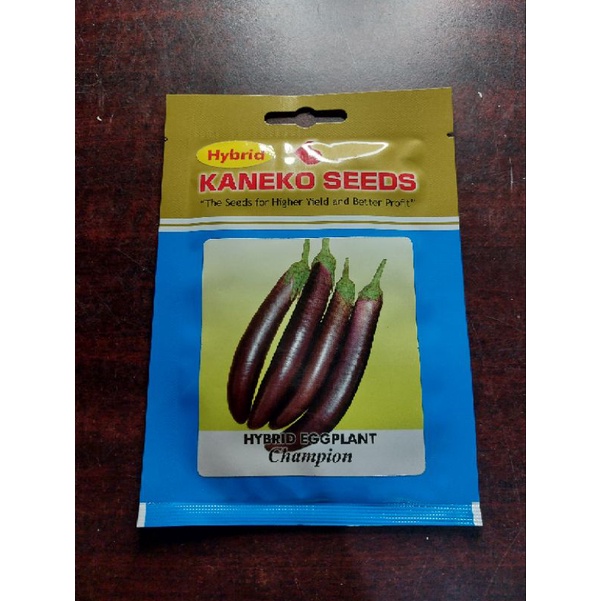 Champion (1 gram) Hybrid Eggplant / Talong by Kaneko Seeds | Shopee ...