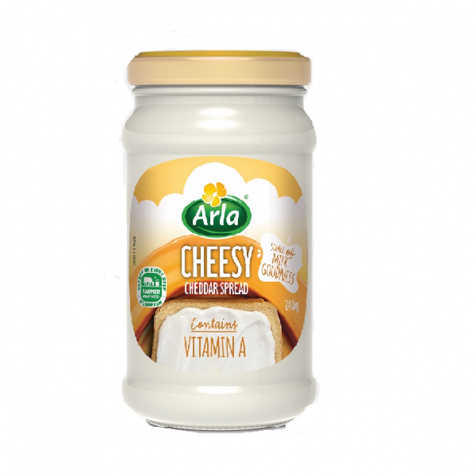 Arla Cheesy Spread Cheddar 240g | Shopee Philippines