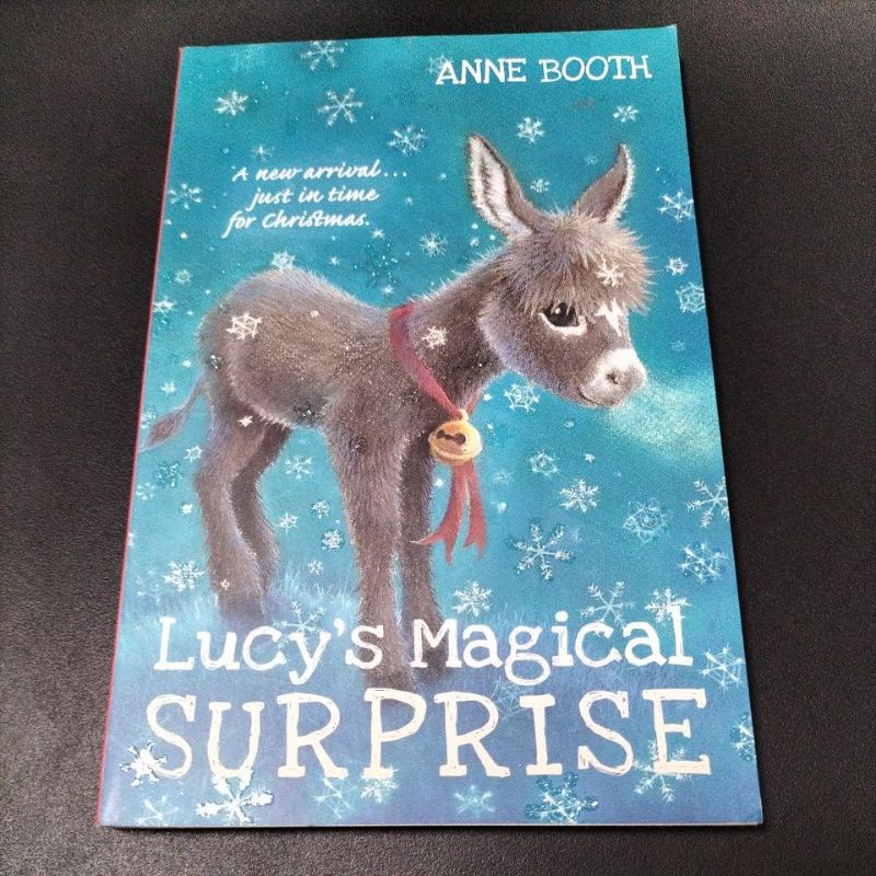 Lucy's Magical Surprise by Anne Booth (Second hand) | Shopee Philippines