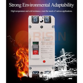CHCYZO JSM1-250L 250A 300A Moulded Case Circuit Breaker Switch DC MCCB ...