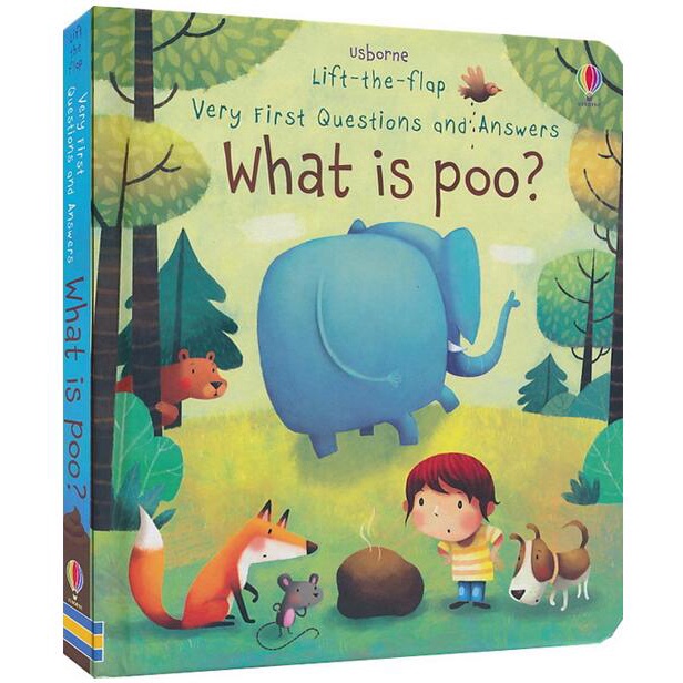 Usborne Lift-the-flap - Very First Questions and Answer series (What ...