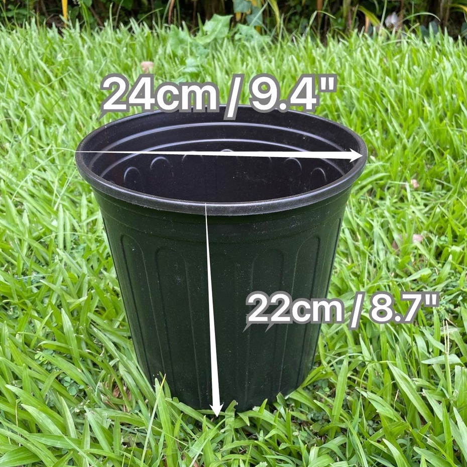 FAMILIFE 1-Dozen/12pcs (16cm-29cm) Long Thick Black PVC Pots/Durable ...