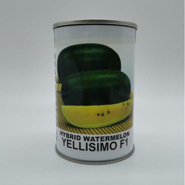 CONDOR YELLISIMO WATERMELON SEEDS ( 50 GRAMS CAN ) | Shopee Philippines