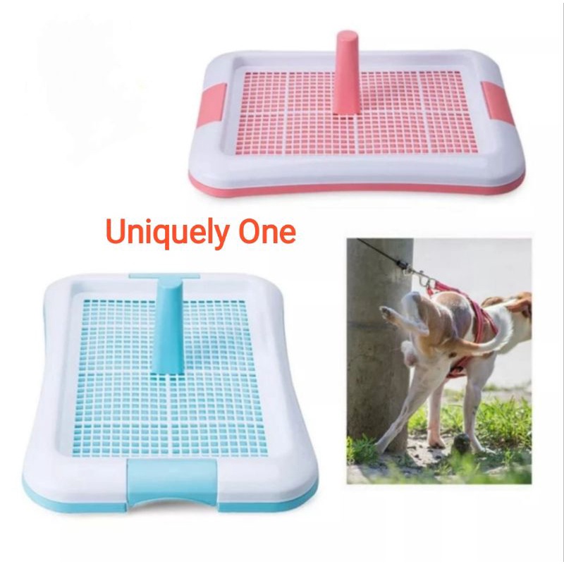 Dog Poop / Pee Pad Alpha - Dog Toilet Training uk. L | Shopee Philippines